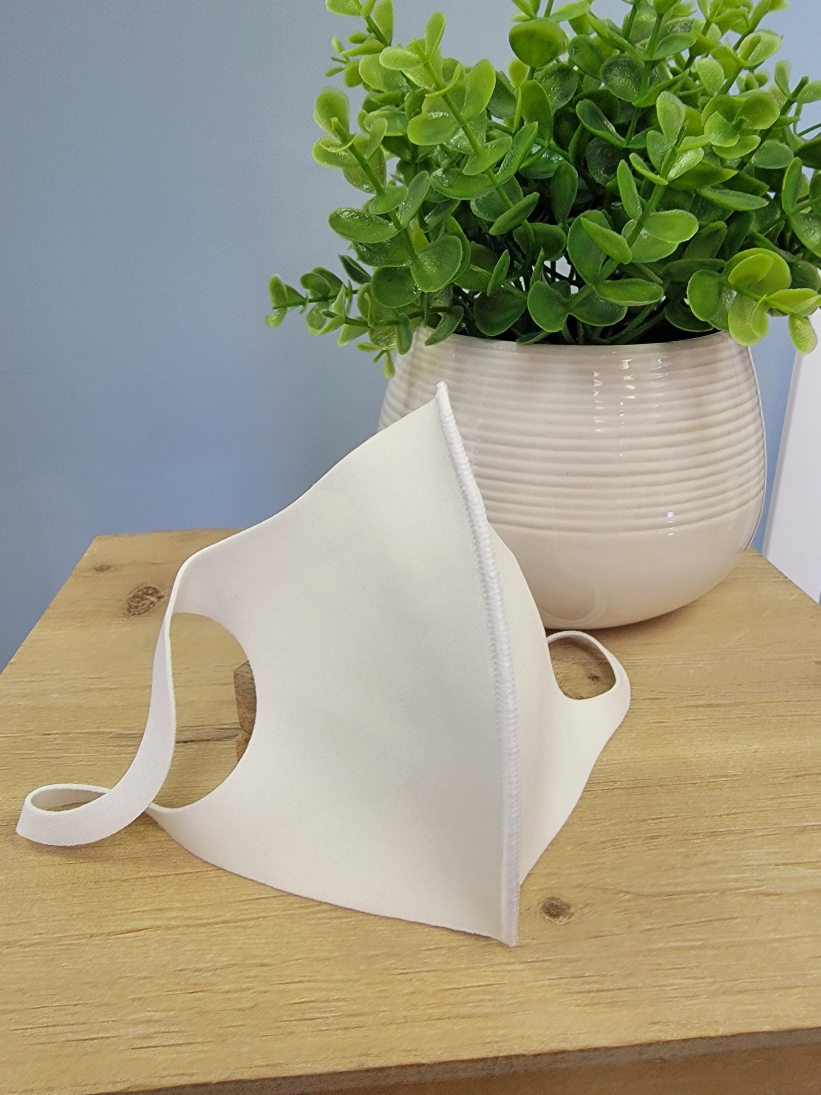 White plain face mask – Dressed in White